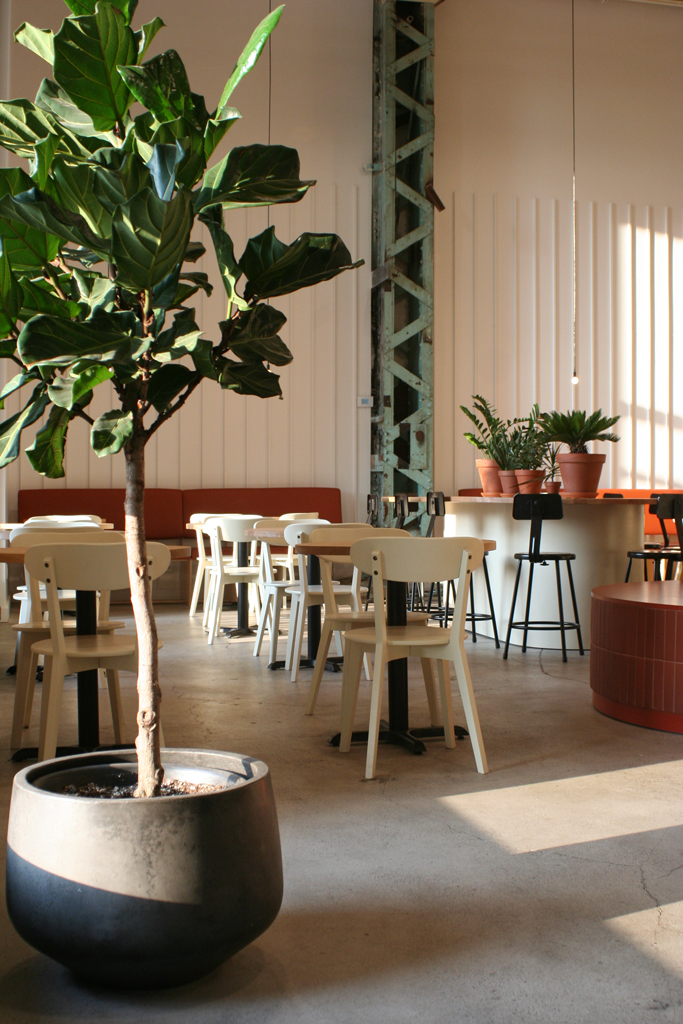 Station W Shop Angus : la formule W dans un superbe espace